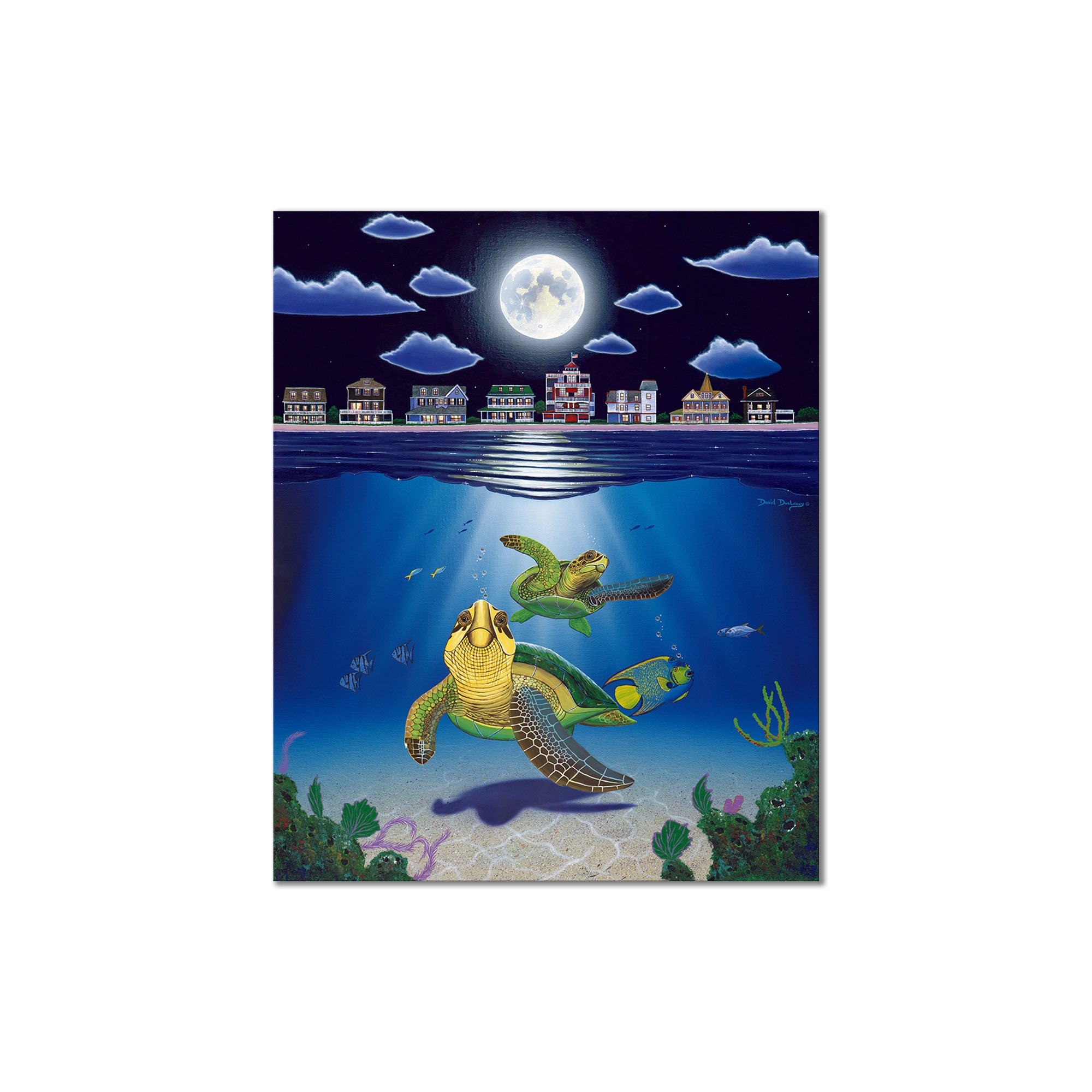 Turtle Drive | David Dunleavy | Art Firm