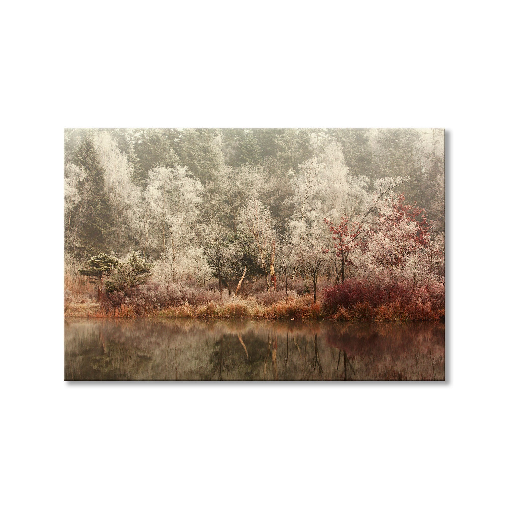 Frozen | 1X | Art Firm