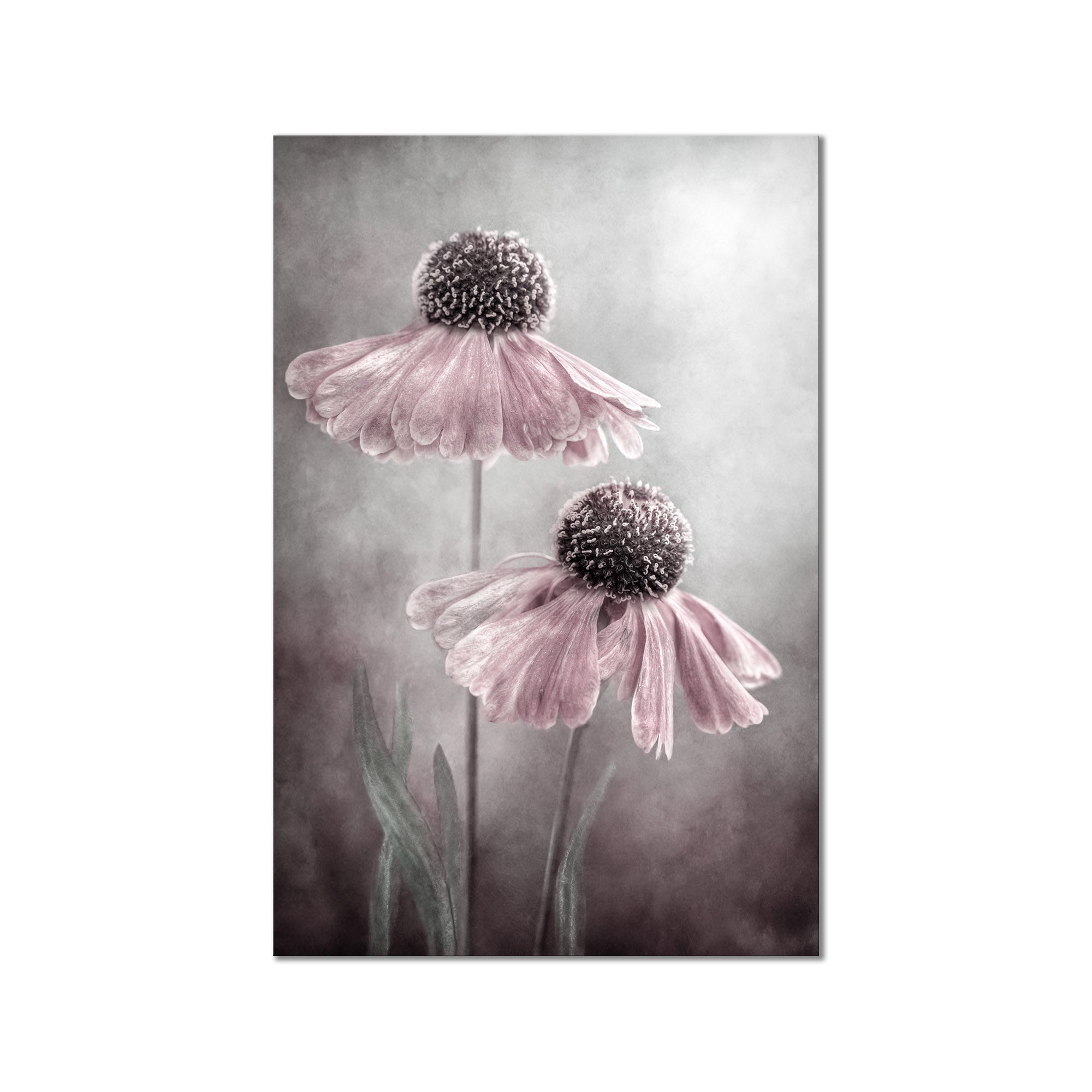 Duet | 1X | Art Firm