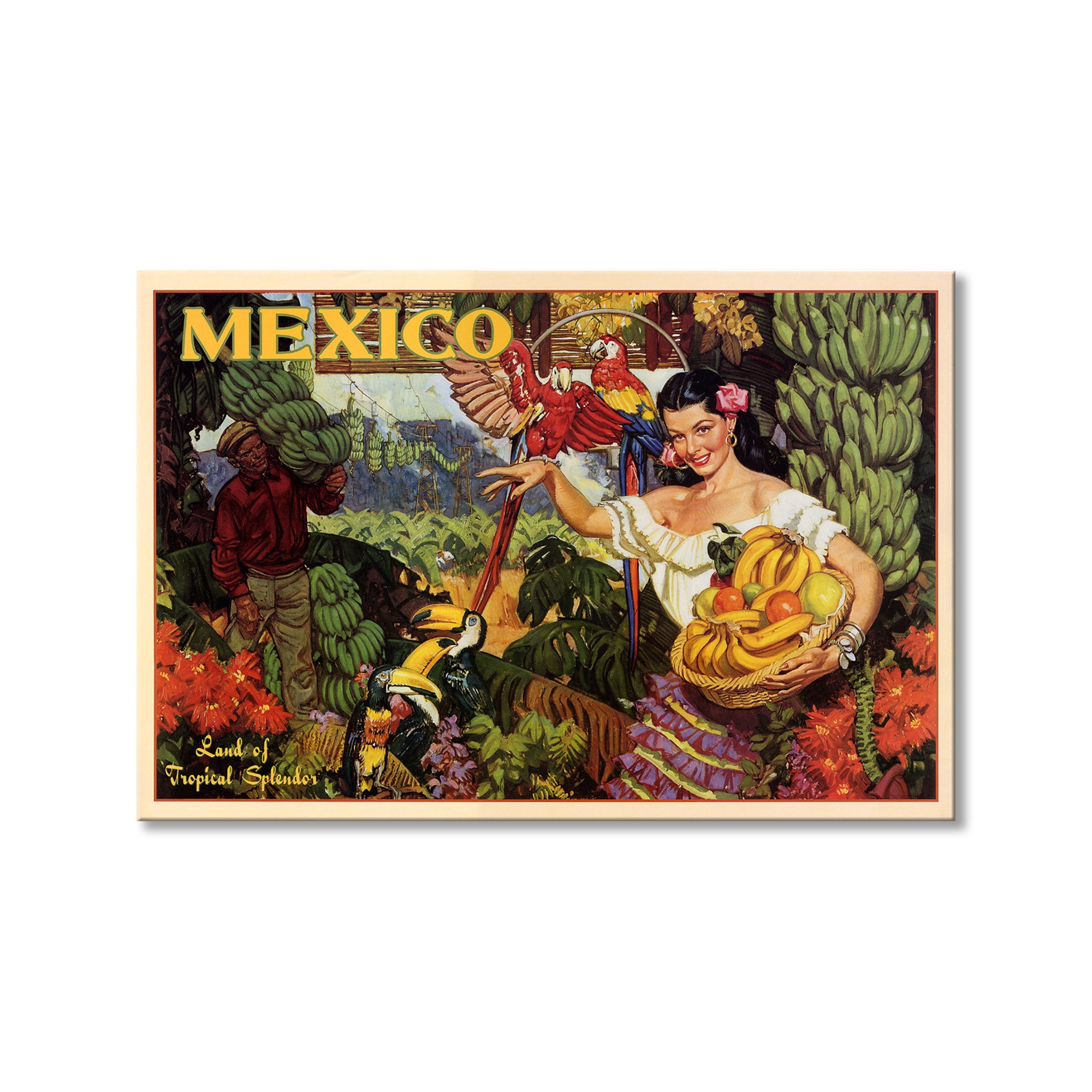 Mexico | Vintage Posters | Art Firm